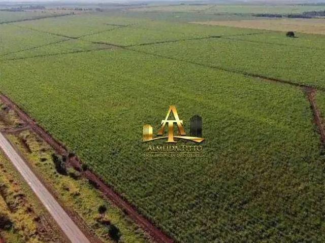 Fazenda para Venda em Rio Brilhante/MS Zona Rural 1 Quartos