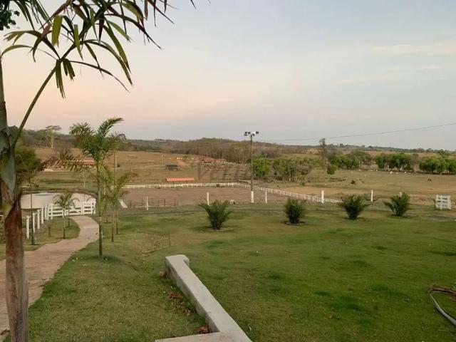 Fazenda para Venda em Rio Claro/SP Saúde 12 Quartos