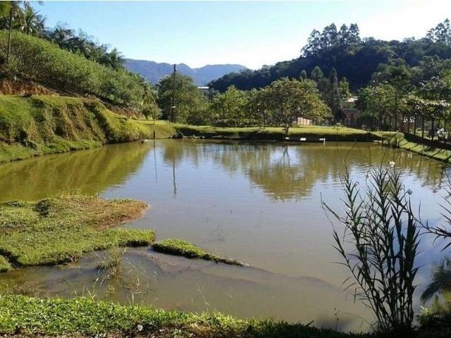 Fazenda para Venda em Rio dos Cedros/SC Dolorata