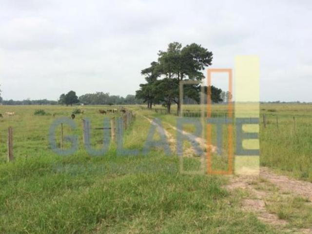Fazenda para venda em Rio Grande