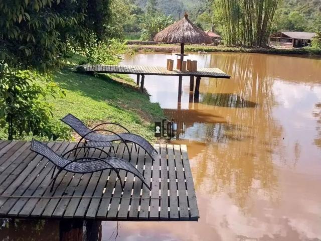 Fazenda para Venda em Rio Pomba/MG Centro 5 Quartos