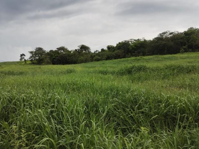 Fazenda para Venda em Rio Quente/GO Zona Rural