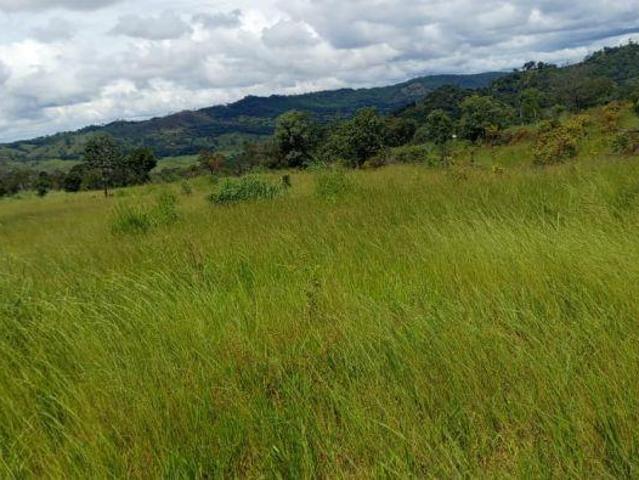 Fazenda para venda em Rubiataba