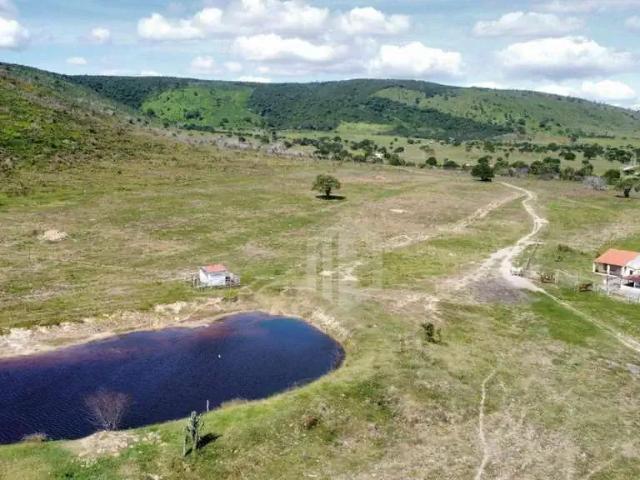 Fazenda para Venda em Tobias Barreto/SE Zona Rural