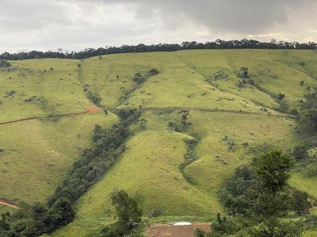 Fazenda para venda em Toledo
