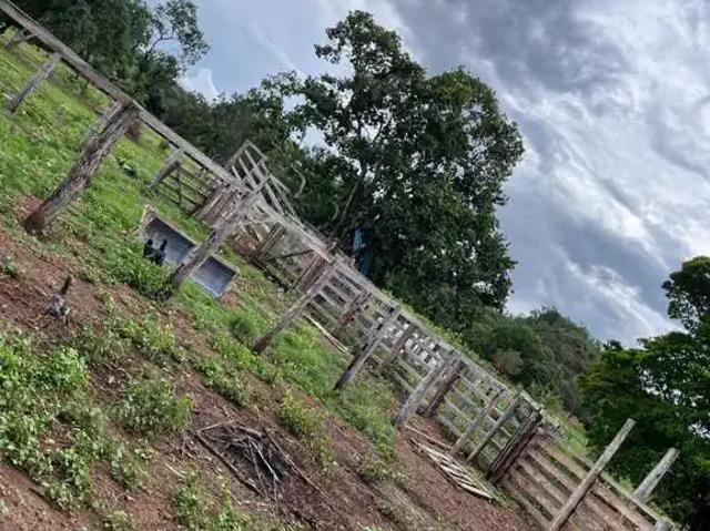Fazenda para Venda em Torixoréu/MT Zona Rural