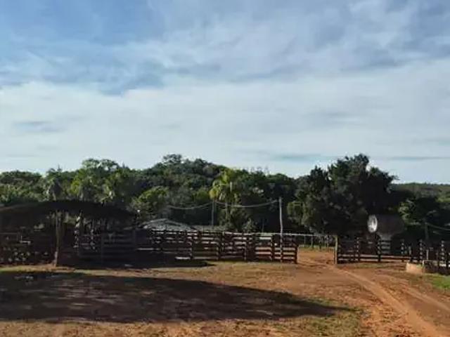 Fazenda para Venda em Torixoréu/MT Zona Rural 2 Quartos