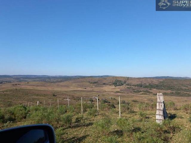 Fazenda para venda em Torrinhas, Pinheiro Machado