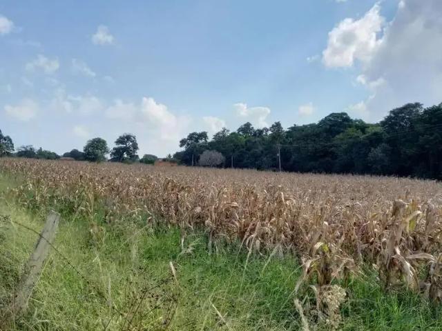 Fazenda para Venda em Tatuí/SP Centro