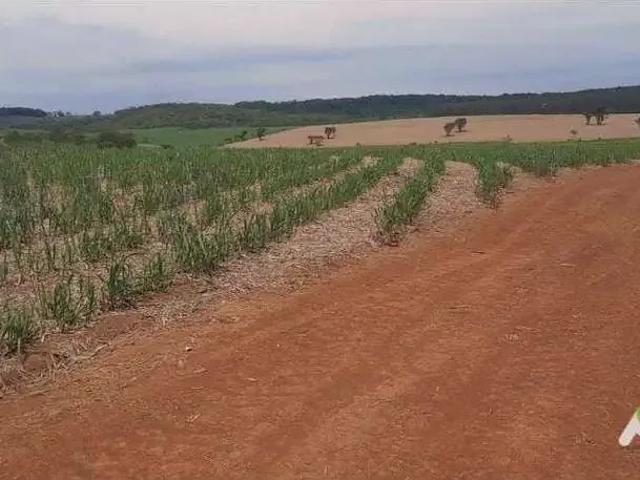 Fazenda para Venda em Tatuí/SP Centro