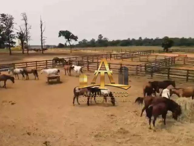 Fazenda para Venda em Tatuí/SP Residencial Astória 3 Quartos