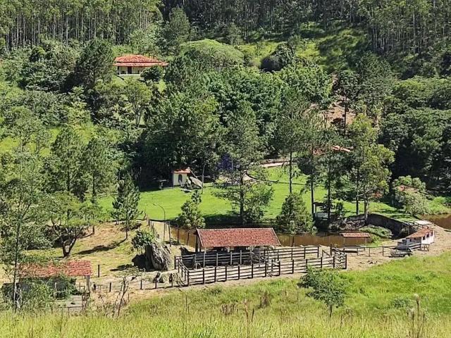 Fazenda para Venda em Taubaté/SP Baraceia 3 Quartos