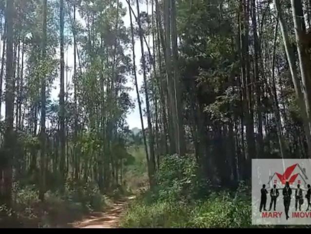 Fazenda para Venda em Taubaté/SP Centro