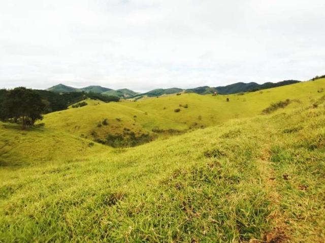 Fazenda para Venda em Taubaté/SP Centro 4 Quartos