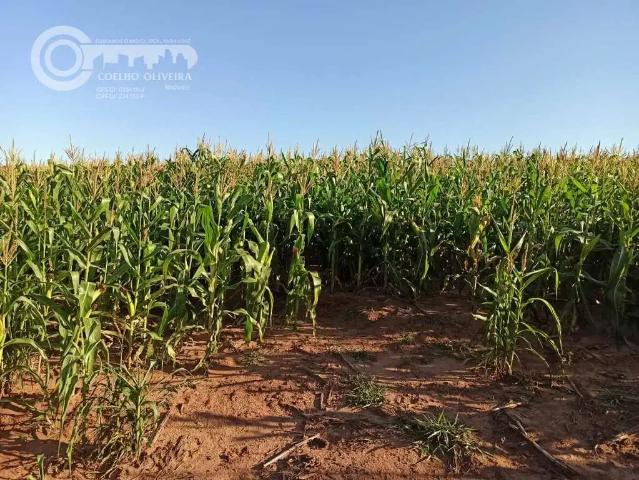 Fazenda para Venda em Tacuru/MS Zona Rural