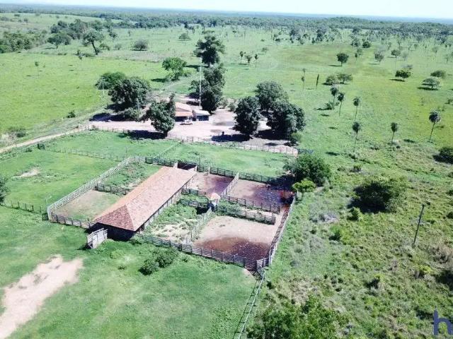 Fazenda para Venda em Taguatinga/TO Zona Rural