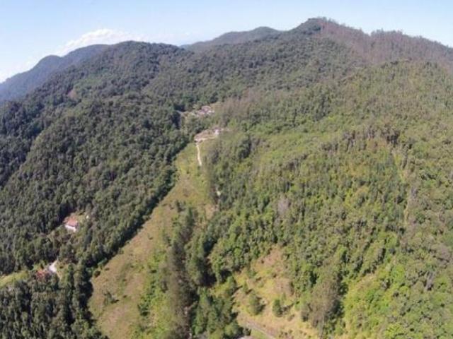 Fazenda para venda em Taiaçupeba, Mogi das Cruzes
