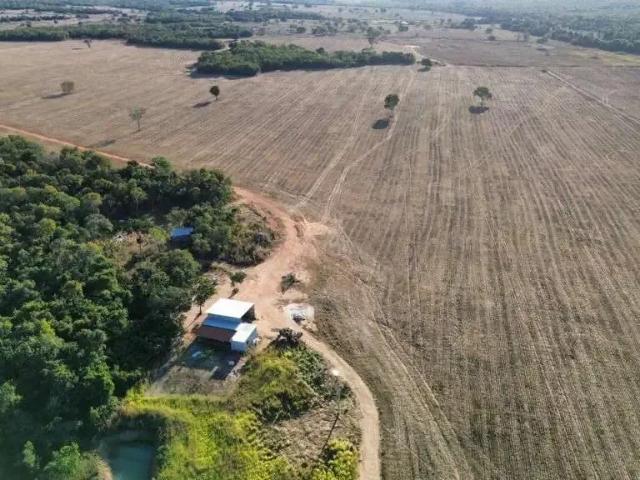 Fazenda para Venda em Talismã/TO Zona Rural