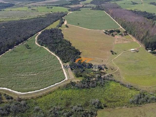 Fazenda para venda em Tambaú