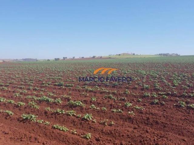 Fazenda para venda em Tambaú