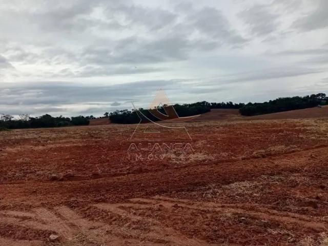 Fazenda para Venda em Tambaú/SP Zona Rural 1 Quartos