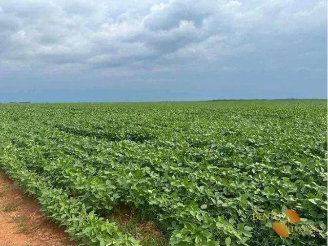 Fazenda para Venda em Tapurah/MT Centro