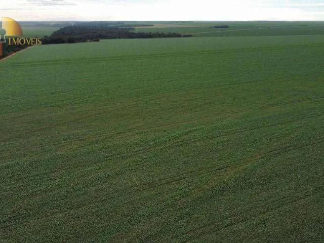 Fazenda para Venda em Tapurah/MT Centro