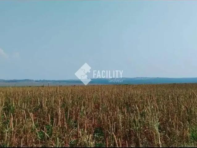 Fazenda para Venda em Teodoro Sampaio/SP Centro 1 Quartos