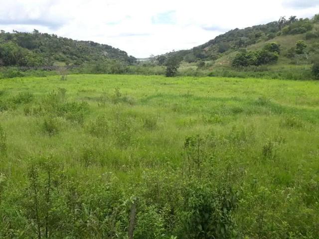 Fazenda para Venda em Teófilo Otoni/MG Área Rural de Teófilo Otoni