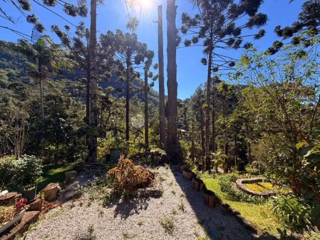 Fazenda para Venda em Teresópolis/RJ Cascata dos Amores 4 Quartos