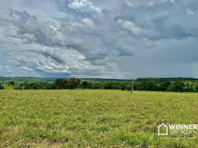 Fazenda para venda em Tesouro