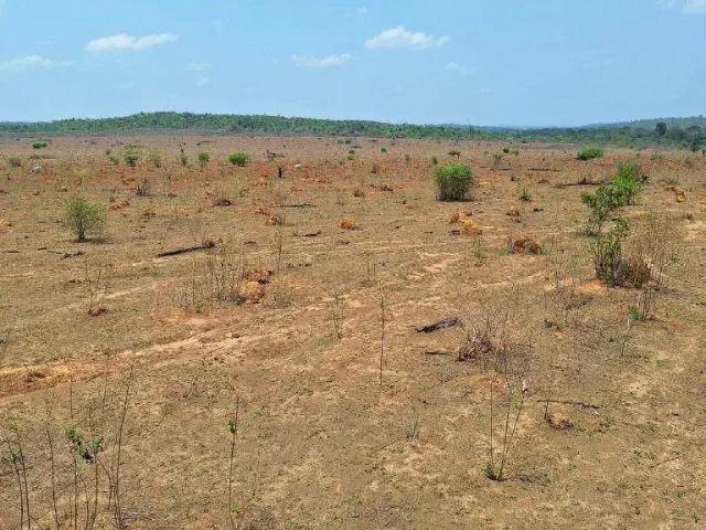 Fazenda para Venda em Tesouro/MT Centro