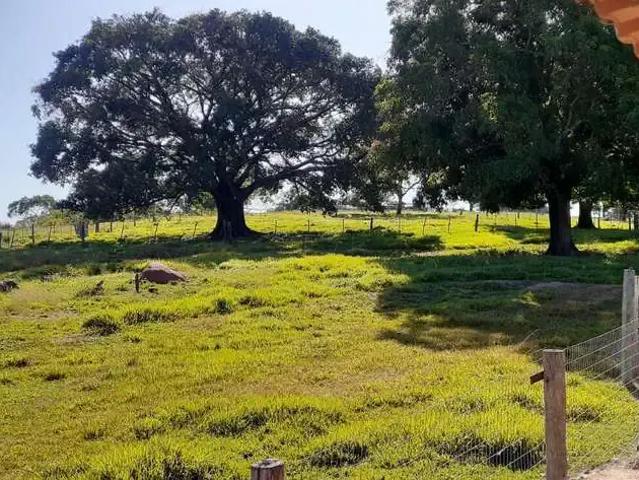 Fazenda para Venda em Tesouro/MT Centro 2 Quartos