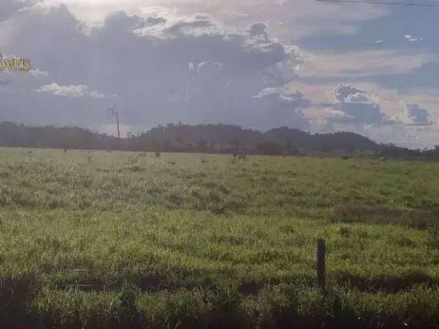 Fazenda para Venda em Tesouro/MT Zona Rural