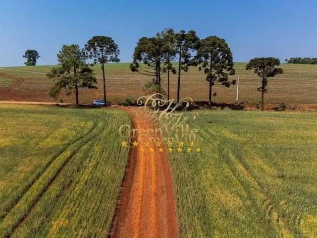 Fazenda para Venda em Tibagi/PR São Bento 2 Quartos