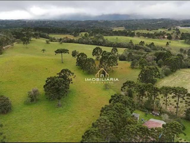 Fazenda para Venda em Tijucas do Sul/PR Zona Rural 10 Quartos