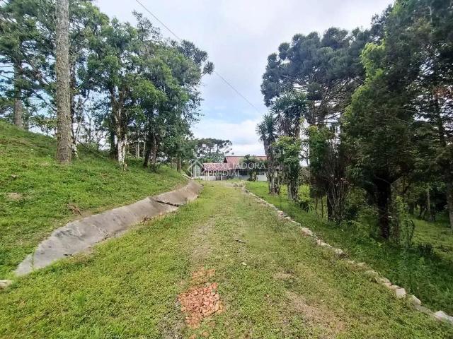 Fazenda para Venda em Tijucas do Sul/PR Zona Rural 3 Quartos