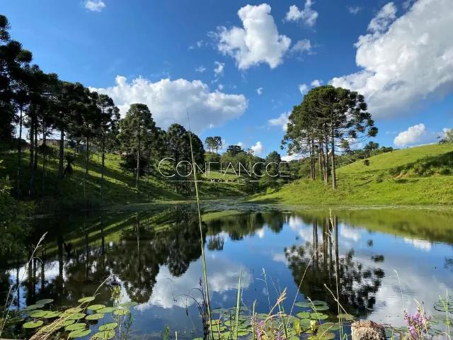Fazenda para Venda em Tijucas do Sul/PR Campo Alto 10 Quartos