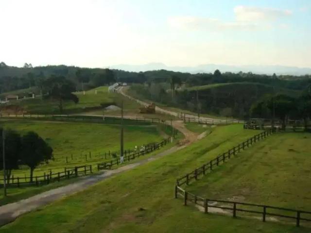 Fazenda para Venda em Tijucas do Sul/PR Centro 5 Quartos