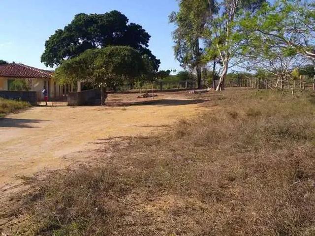 Fazenda para Venda em Tremedal/BA Centro 3 Quartos