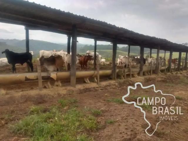 Fazenda para Venda em Tremembé/SP Centro 3 Quartos