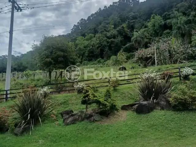 Fazenda para Venda em Três Coroas/RS Linha Café