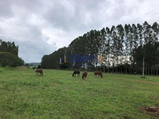 Fazenda para Venda em Tucuruí/PA Área Rural de Tucuruí 9 Quartos