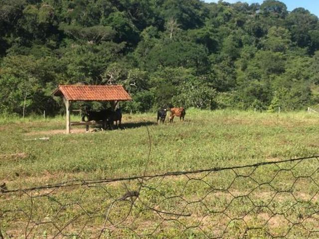 Fazenda para venda em Unaí