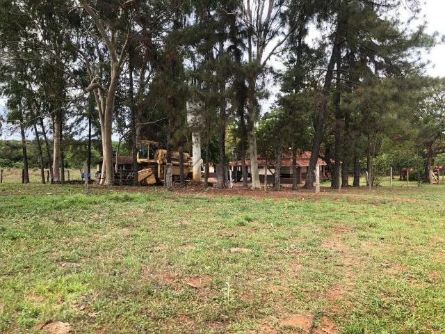Fazenda para Venda em Unaí/MG Mamoeiro 1 Quartos