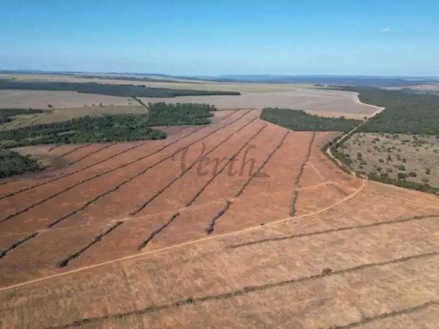Fazenda para Venda em Unaí/MG Mamoeiro 5 Quartos