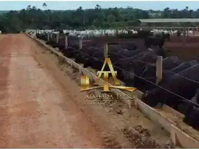 Fazenda para Venda em Unaí/MG Mansões Concordia 1 Quartos