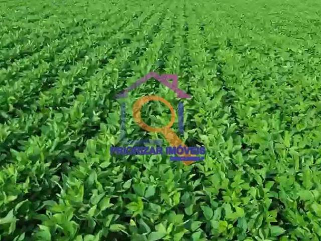 Fazenda para Venda em Unaí/MG Zona Rural 3 Quartos