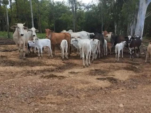 Fazenda para Venda em Unaí/MG Zona Rural