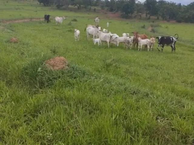 Fazenda para Venda em Unaí/MG Zona Rural